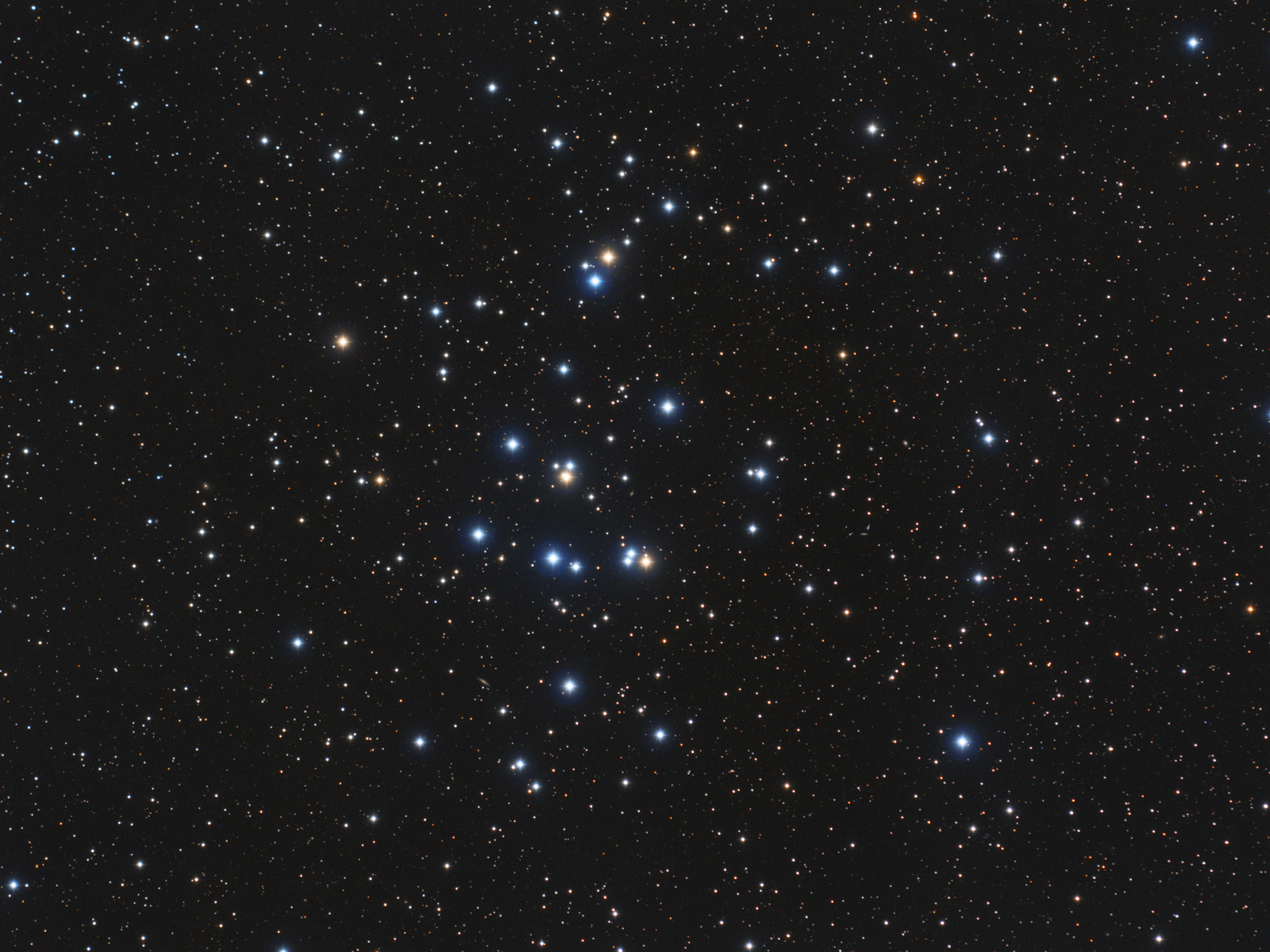 Missouri S&T – News and Events – Visitors invited to view the Beehive ...