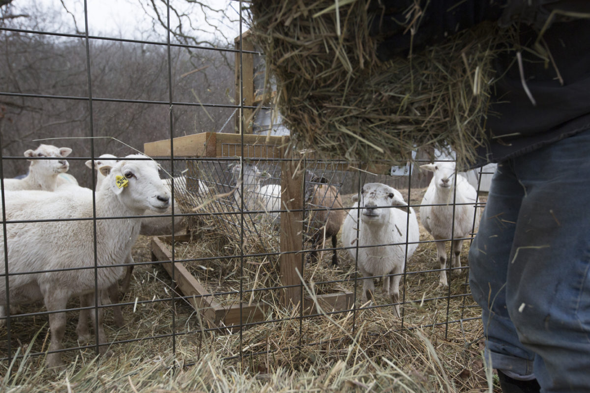 Missouri S&T – News and Events – Learning for life