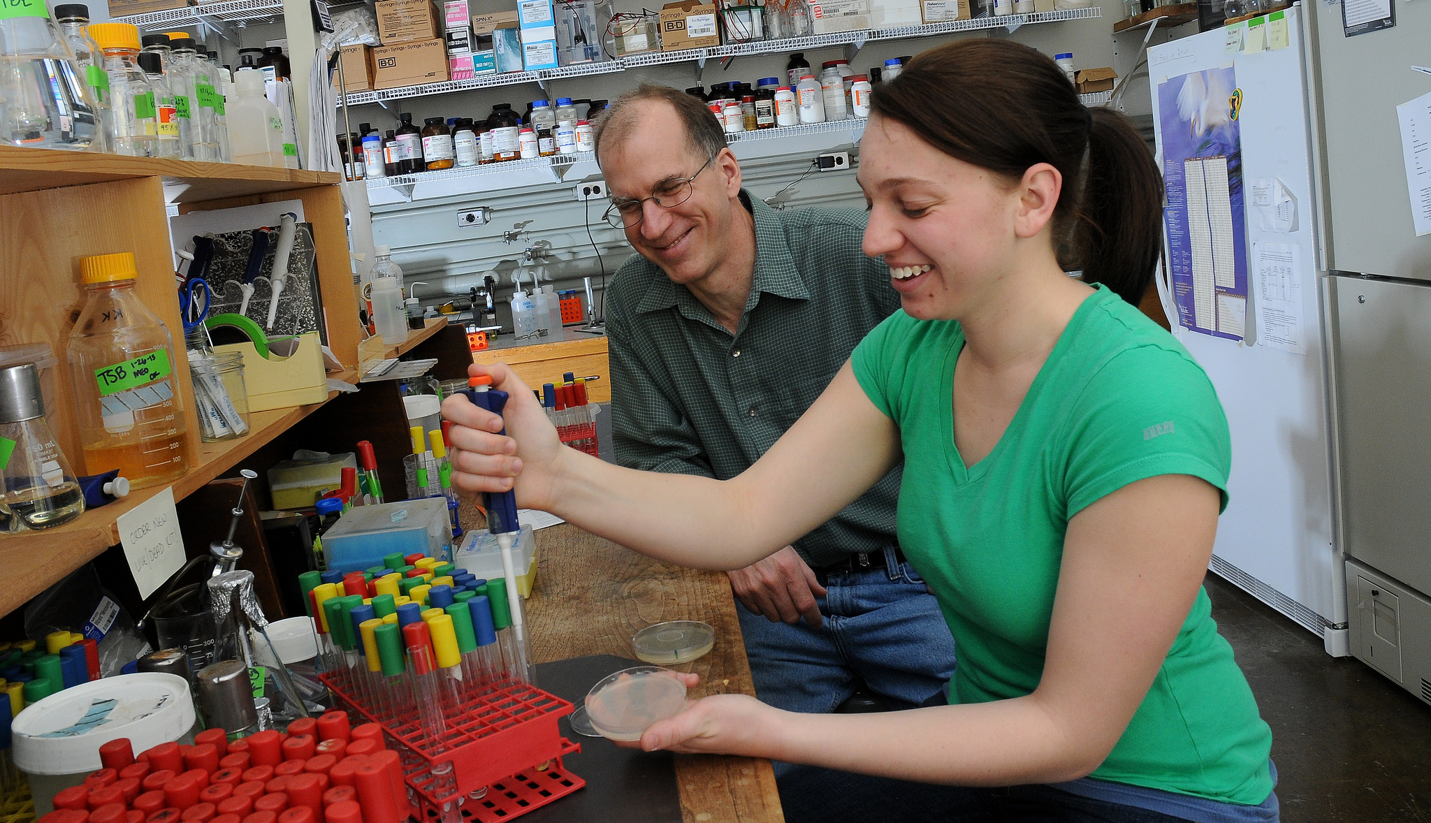 Missouri S&T – News and Events – Researchers use glass to limit spread ...