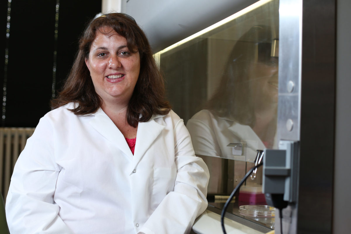 Missouri S&T – News and Events – The doctor is IN