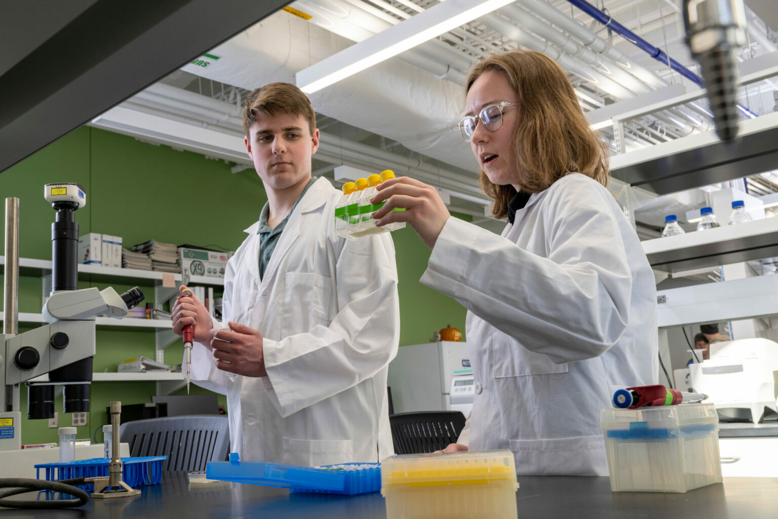 Missouri S&T – News and Events – Researching worms to understand age ...