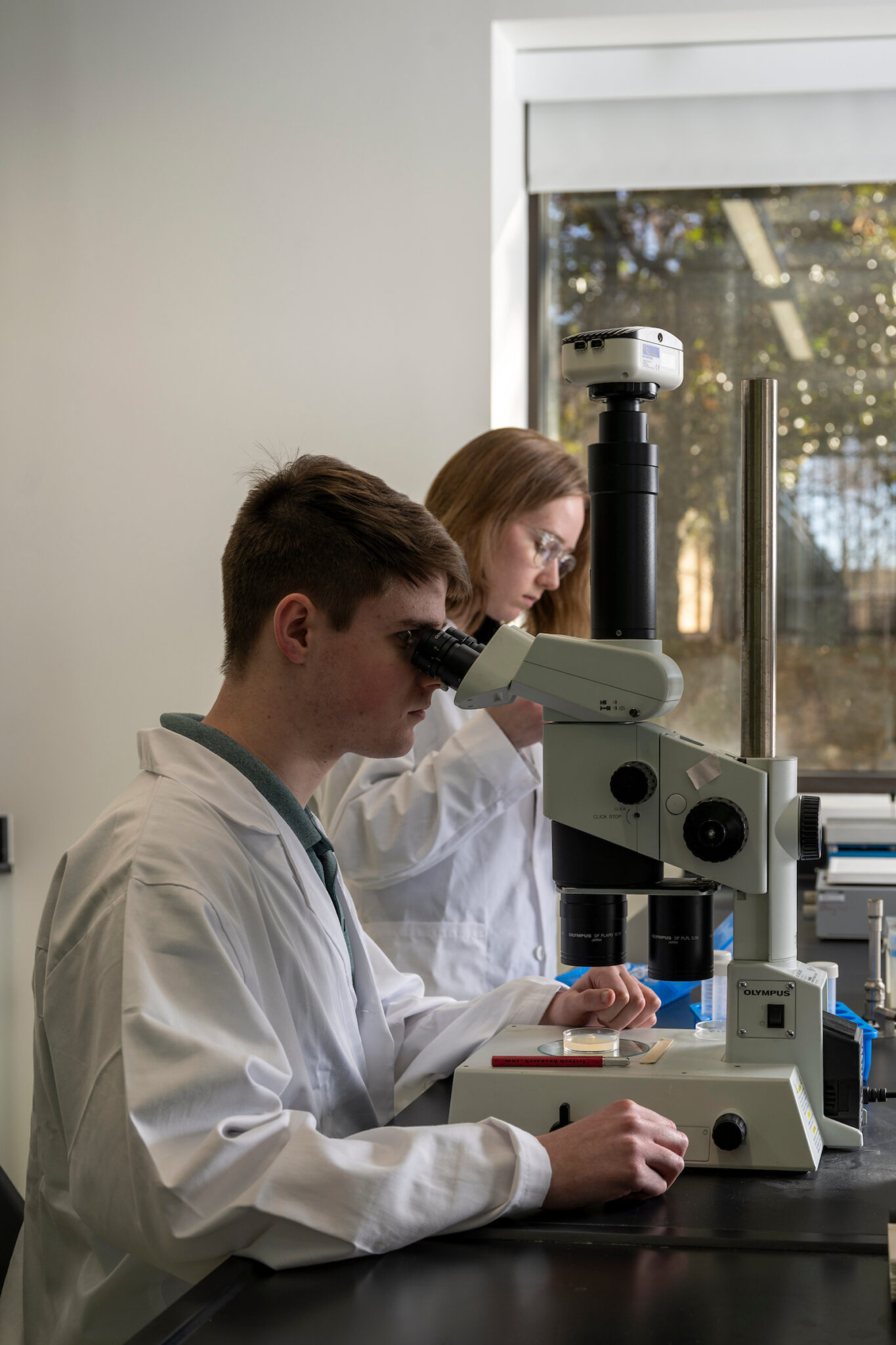 Missouri S&T – News and Events – Researching worms to understand age ...