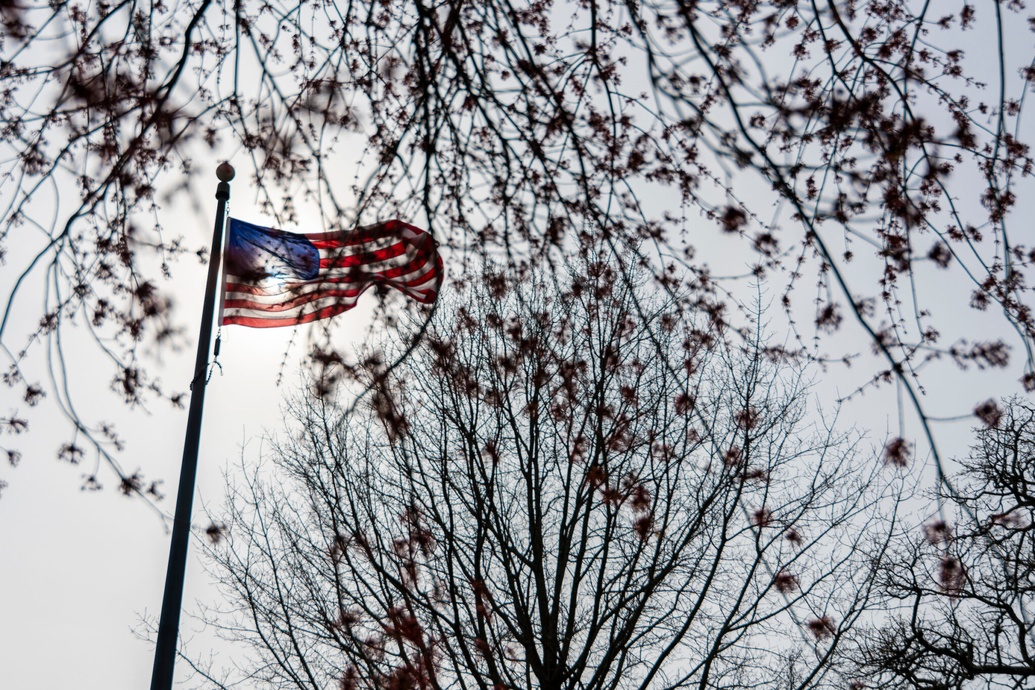 Missouri S&T – News and Events – S&T to offer national security leadership program