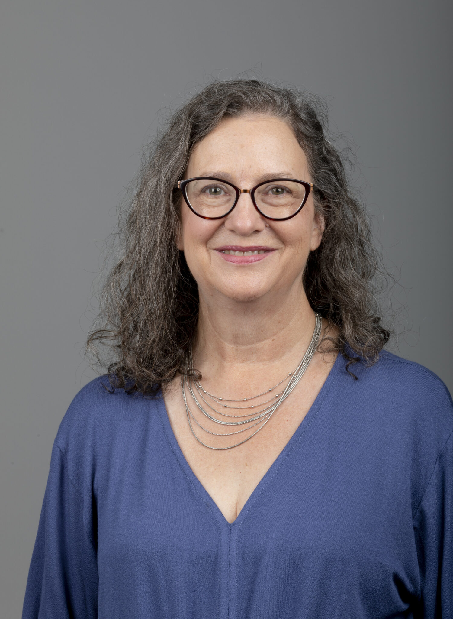 Missouri S&T – News and Events – Missouri S&T professor named president ...